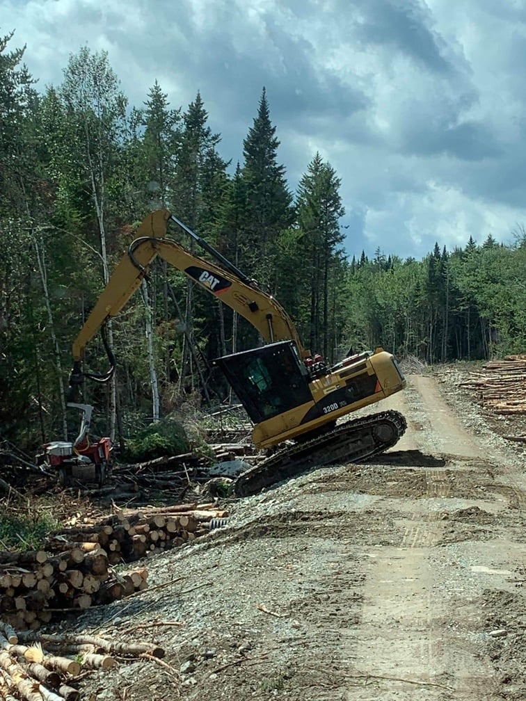 Top 5 Fan-Favorite Cat Machine Photos You’ll Love